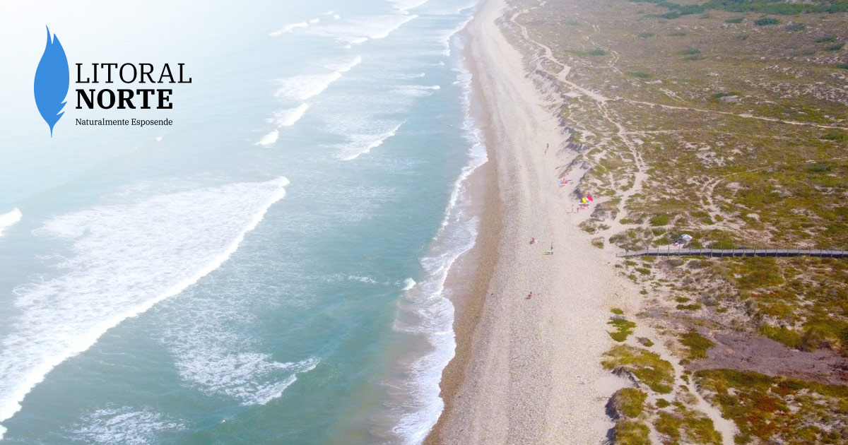 Repositório - Comissão de Cogestão do Parque Natural do Litoral Norte